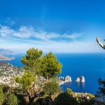 Sorrento: Capri and Anacapri Tour w/ Via Camerelle & Gardens - Breaking Down the Itinerary