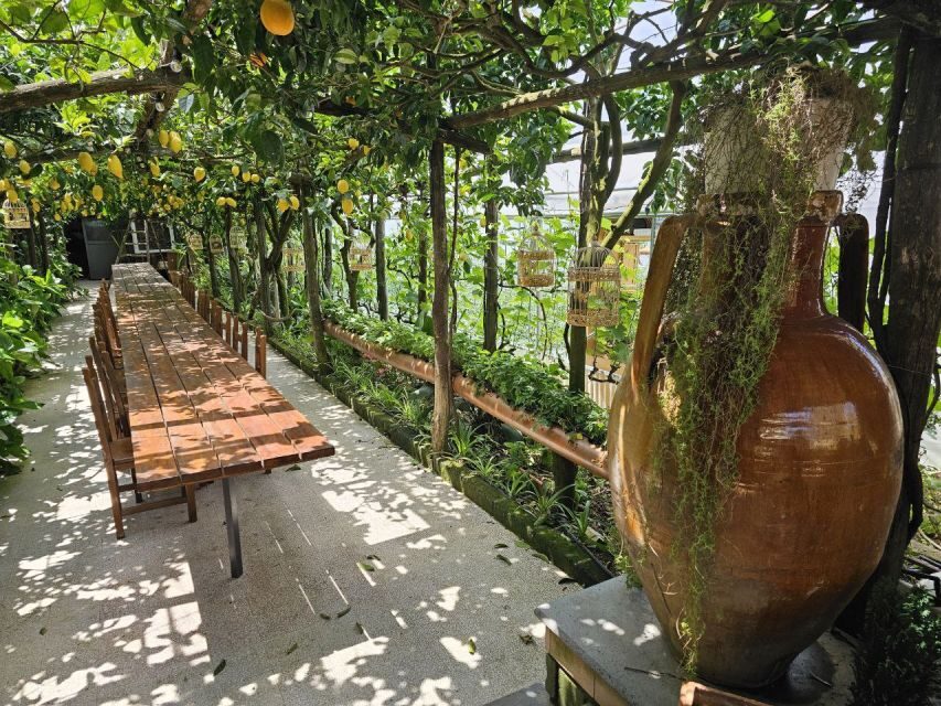 Sorrento Coast: E-Bike & Cooking Experience - Exploring the Itinerary: What You Can Expect