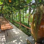 Sorrento Coast E-Bike Tour and Visit at Vinegar Cellar - The Value of This Tour