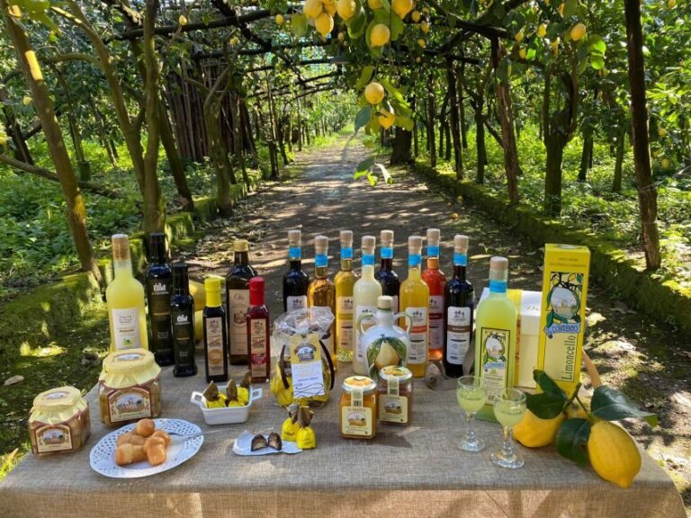 Sorrento: Coast E-Bike Tour with Limoncello Tasting - The Itinerary in Detail