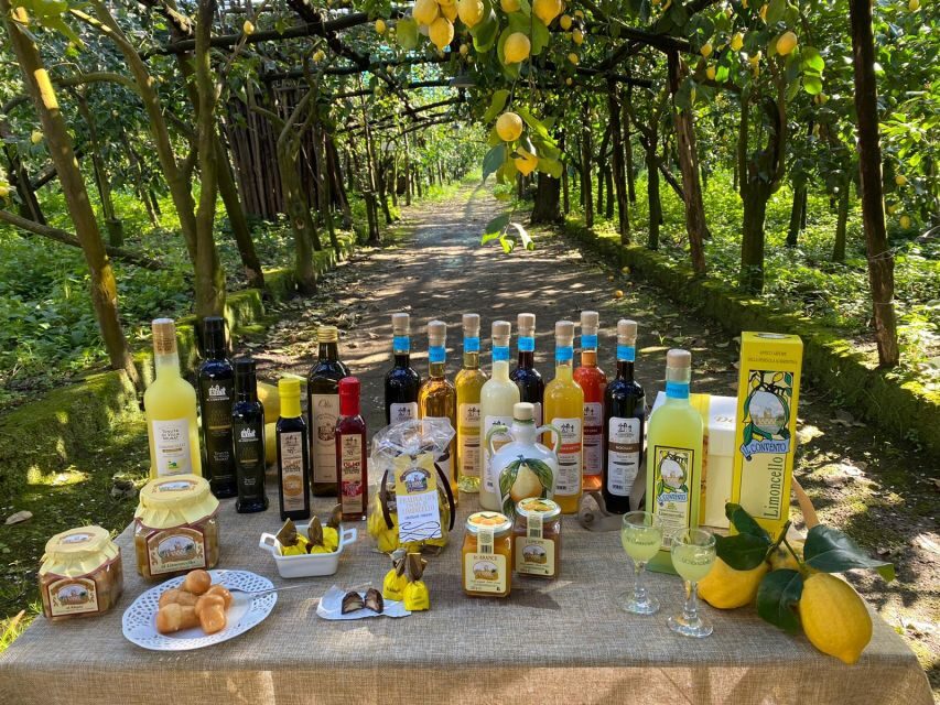 Sorrento: Coast E-Bike Tour with Limoncello Tasting - The Itinerary in Detail