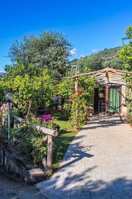 Sorrento Cooking Class: Taste the Tradition feel the Love - Analyzing the Value: Is It Worth the Price?