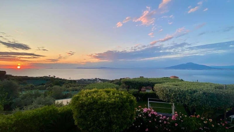 Sorrento: Cooking Class under the Lemon Trees - An In-Depth Look at the Experience