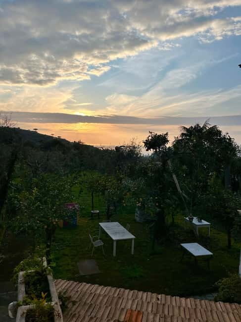 Sorrento: Cooking with a Local Chef & Wine Pairing by the Sea - The Cooking Class: Learning by Doing