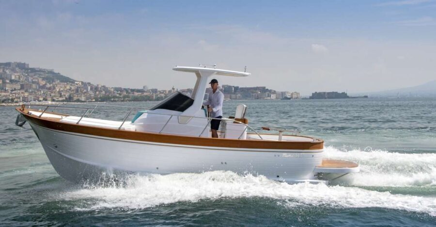 Sorrento Exclusive private boat tour in the land of Mermaids - Practical Details and What You Should Know