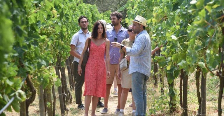 Sorrento: Farm Tour with Cheese Tasting & Pizza Making Class - Why This Tour Offers Great Value