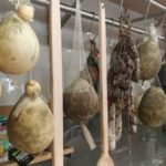 Sorrento: Food and Walking Tour with Cheese, Oil and Lemon - An Engaging Introduction to Sorrento’s Flavors