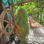 Sorrento: Food Tour by E-Bike and Visit at Vinegar Cellar - What to Expect During Each Segment of the Tour