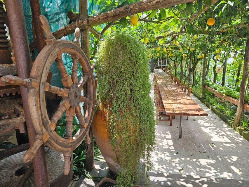 Sorrento: Food Tour by E-Bike and Visit at Vinegar Cellar - What to Expect During Each Segment of the Tour