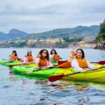Sorrento: Guided Kayak Tour with Paddleboarding - The Highlights: What Stops Make This Tour Special?