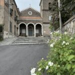 Sorrento: Lemon Garden Guided Tour with Tastings - Who Will Appreciate This Tour?