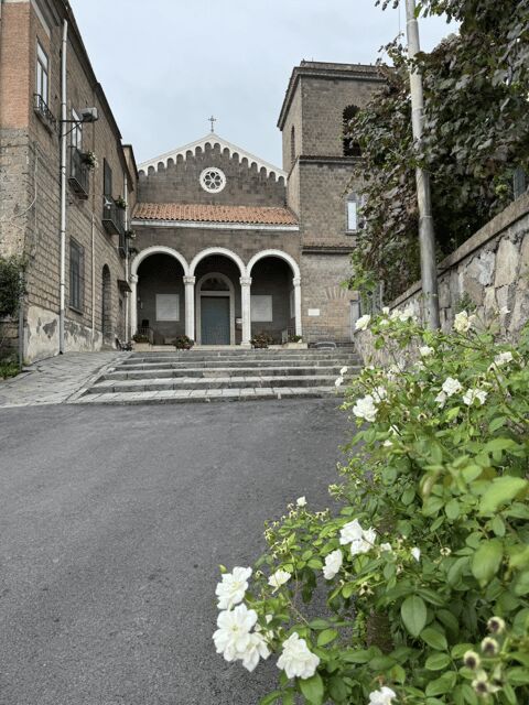 Sorrento: Lemon Garden Guided Tour with Tastings - Who Will Appreciate This Tour?