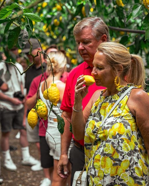 Sorrento: Lemons grove, Farm Tour&Tasting and Pizza Class - What Makes This Tour Special and Its Limitations