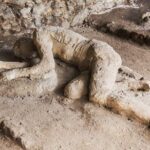Sorrento & Pompeii From Rome - Private Day Trip - The Itinerary in Detail