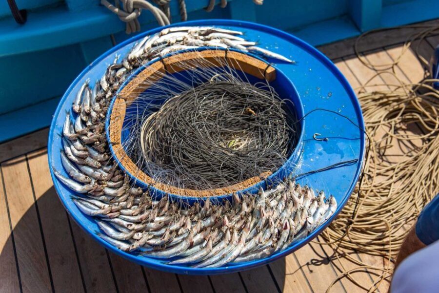 Sorrento: Sea-Fishing Tour with Lunch Onboard - Why This Tour Works Well