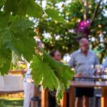 Sorrento: Wine Tasting Overlooking the Sea in a Lemon Grove - What You Can Expect from the Wine Tasting