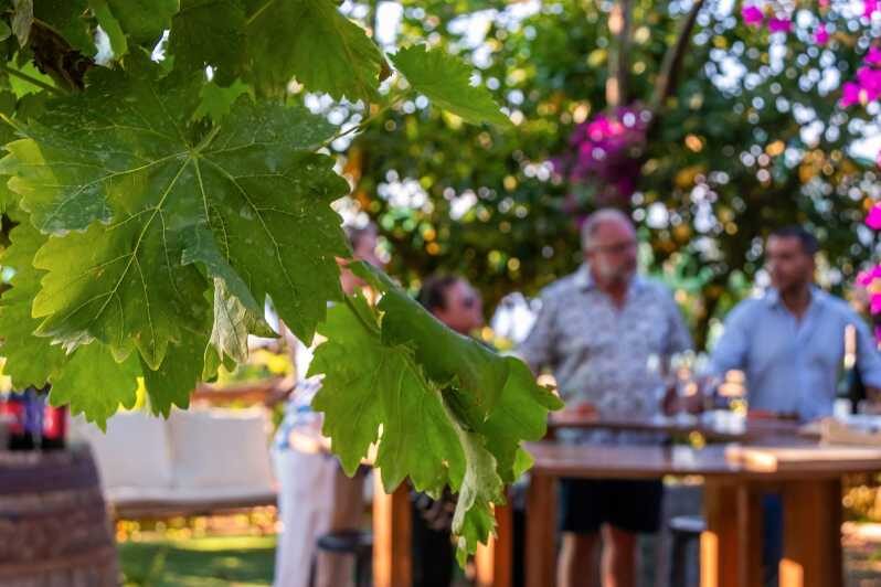 Sorrento: Wine Tasting Overlooking the Sea in a Lemon Grove - What You Can Expect from the Wine Tasting