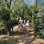 Sorrento:Garden tour of Lemons and Oranges tree - Authenticity & Local Flavor