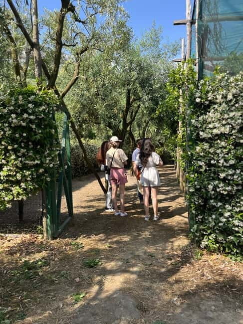 Sorrento:Garden tour of Lemons and Oranges tree - Authenticity & Local Flavor