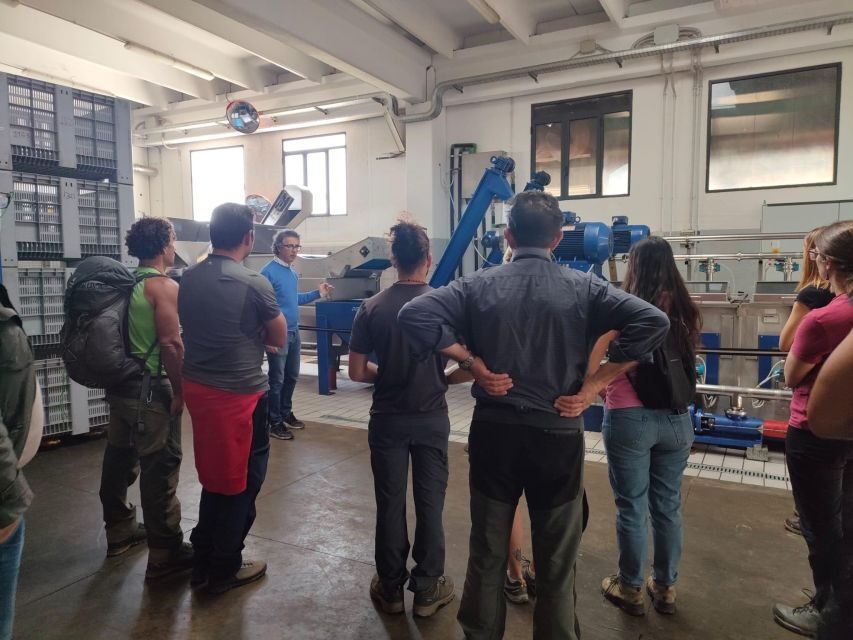 Sortino: Olive Oil tasting with Sicilian Products and Wine - Why This Tour Works for Travelers