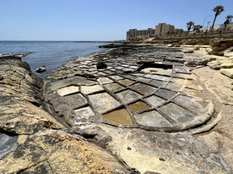 South Coast Private Nature Walking Tour with Transport - A Closer Look at the Experience