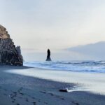 South Coast - Private Tour from Reykjavik/Selfoss - Final Thoughts: Who Is This Tour For?