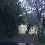 South Corfu Premium 4x4: Villages, Views & Flavours - Authentic Experiences Highlighted by Reviews