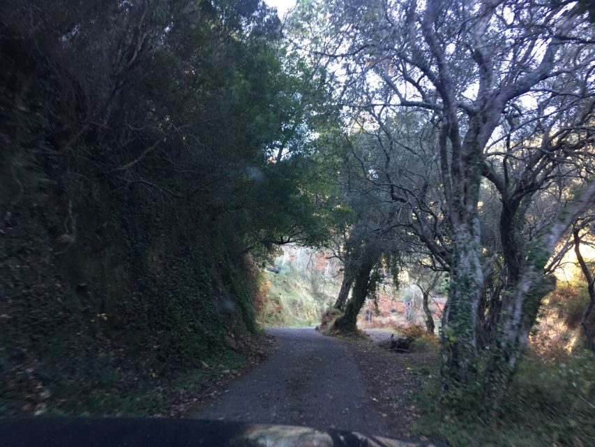 South Corfu Premium 4x4: Villages, Views & Flavours - Authentic Experiences Highlighted by Reviews