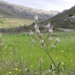 South Crete: Nature Tour to Scenic Villages, Gorges, Lakes - What’s Included & What to Expect
