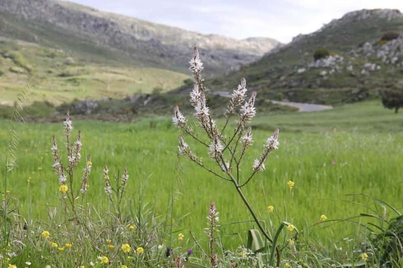 South Crete: Nature Tour to Scenic Villages, Gorges, Lakes - What’s Included & What to Expect