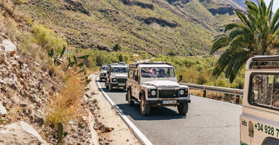 South Gran Canaria: Off-Road Valleys & Villages Jeep Tour - Who Should Consider This Tour?