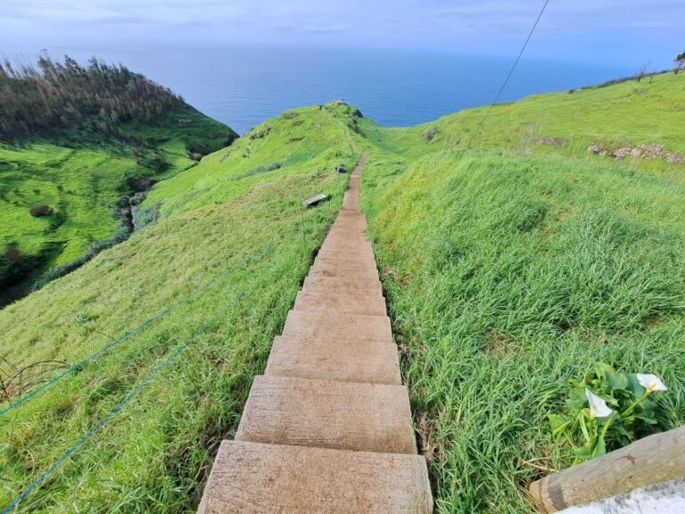 South Madeira:, day tour, breathtaking mountain+coastal trip - Transportation and Group Size