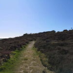 South Stack: Coastal Walking Tour with Café & History - The Value and Practicalities