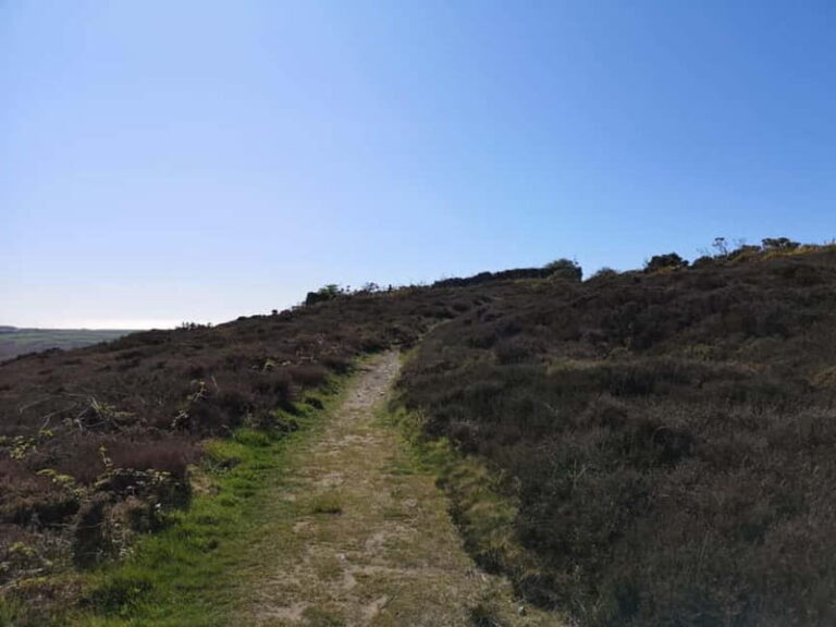 South Stack: Coastal Walking Tour with Café & History - The Value and Practicalities