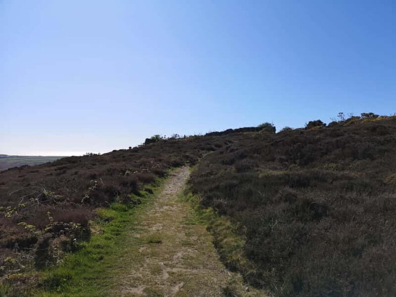 South Stack: Coastal Walking Tour with Café & History - The Value and Practicalities