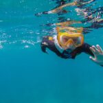 South Tenerife: Guided Snorkeling - The Experience of a 50-Minute Marine Safari
