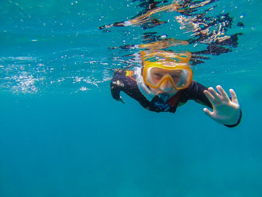 South Tenerife: Guided Snorkeling - The Experience of a 50-Minute Marine Safari