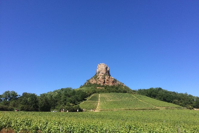Southern Burgundy Wine Tour - Full Day Shared tour from Lyon - A Deep Dive into the Southern Burgundy Wine Tour from Lyon