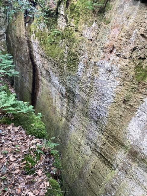 Sovana: Vie Cave & Etruscan Culture Hiking Tour with Tasting - Who Will Enjoy This Tour?