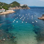Spain: Coastal Drive and Boat Tour with Optional Cava - Breakdown of the Itinerary