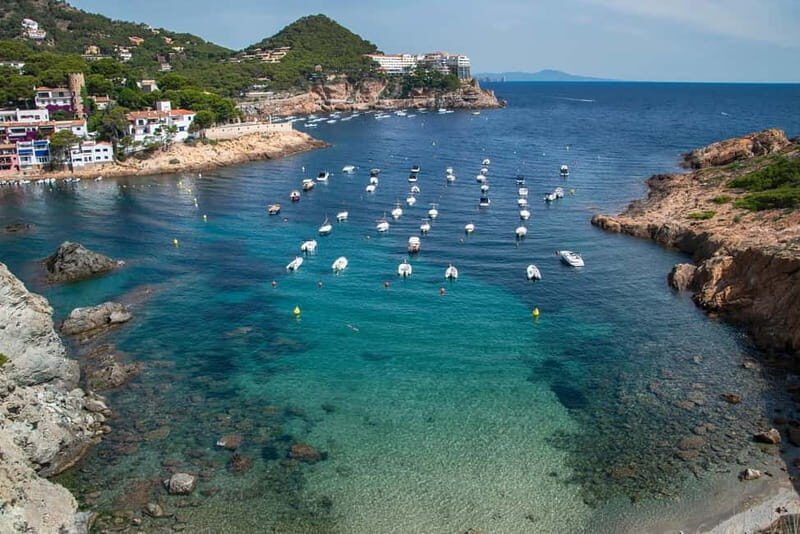 Spain: Coastal Drive and Boat Tour with Optional Cava - Breakdown of the Itinerary