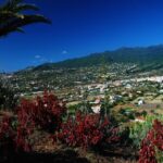 Special cruise tour Center and South La Palma (Price per car not per person) - Logistics and Value