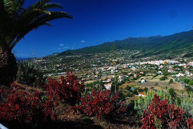 Special cruise tour Center and South La Palma (Price per car not per person) - Logistics and Value
