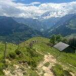 Spiez: Summit Mt. Niesen with a Swiss Triathlete - An In-Depth Look at the Experience
