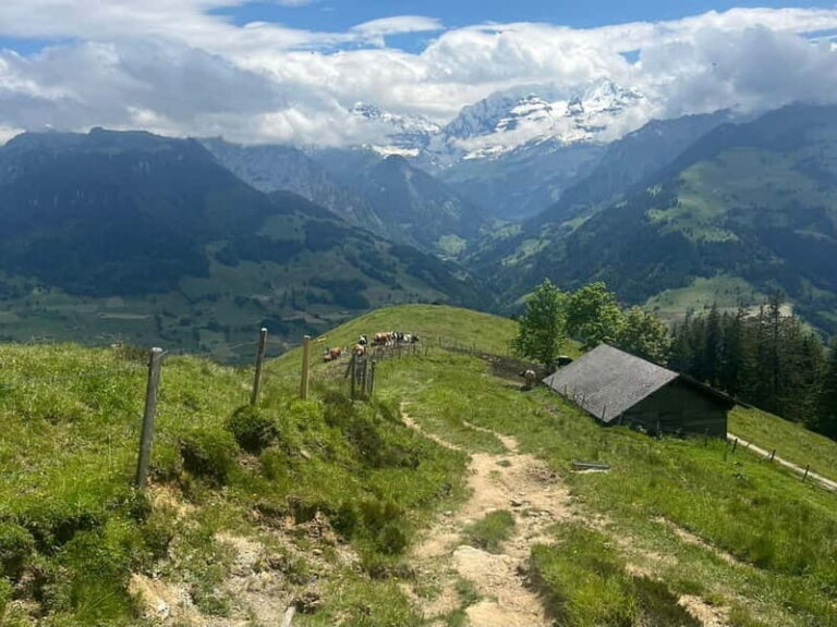 Spiez: Summit Mt. Niesen with a Swiss Triathlete - An In-Depth Look at the Experience