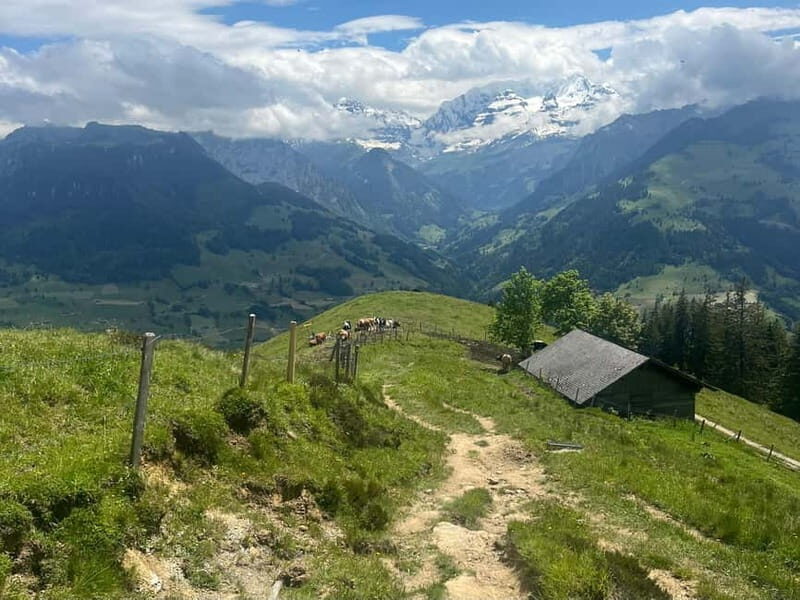 Spiez: Summit Mt. Niesen with a Swiss Triathlete - An In-Depth Look at the Experience