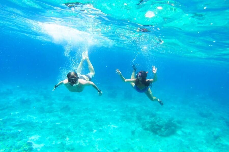 Split: Blue Lagoon, Hvar and 5 Islands Small Group Boat Tour - An In-Depth Look at the Experience