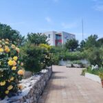 Split: Historical Tour of Salona, Klis Fortress and Trogir - Price and Value