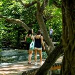 Split: Krka National Park Day Trip with Boat Ride & Swimming - What to Expect: A Typical Day