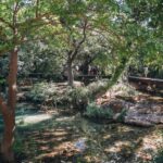 Split: Krka Waterfalls Tour, Boat Cruise, and Swimming - Why This Tour Offers Great Value